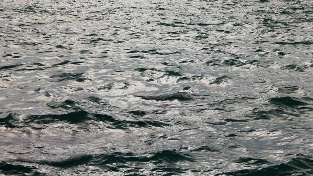 Wave Waves Sea - Free video on Pixabay