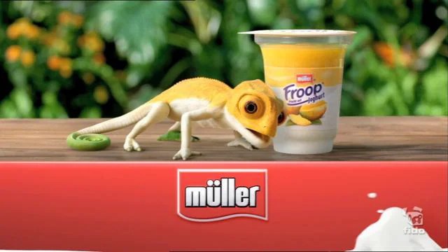 Froop