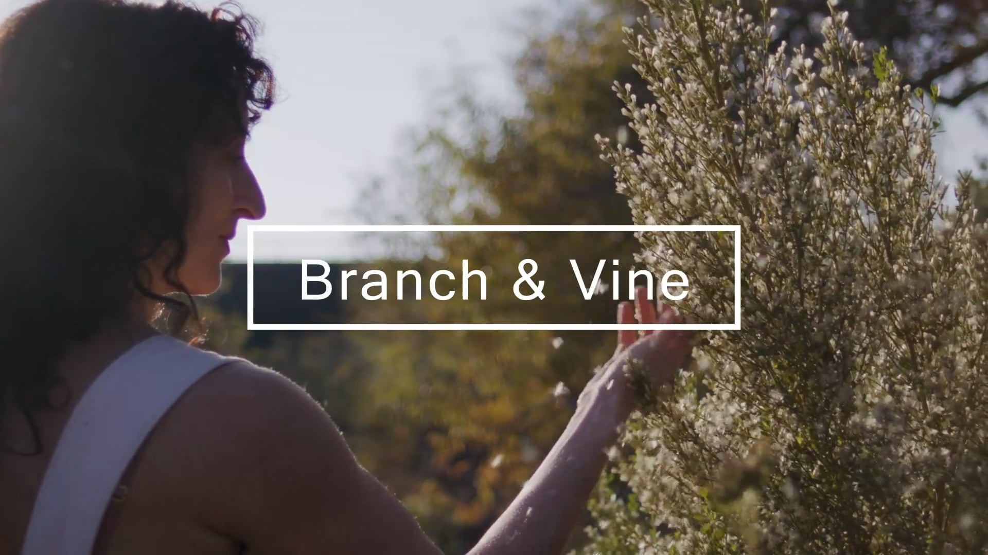 Branch & Vine on Vimeo