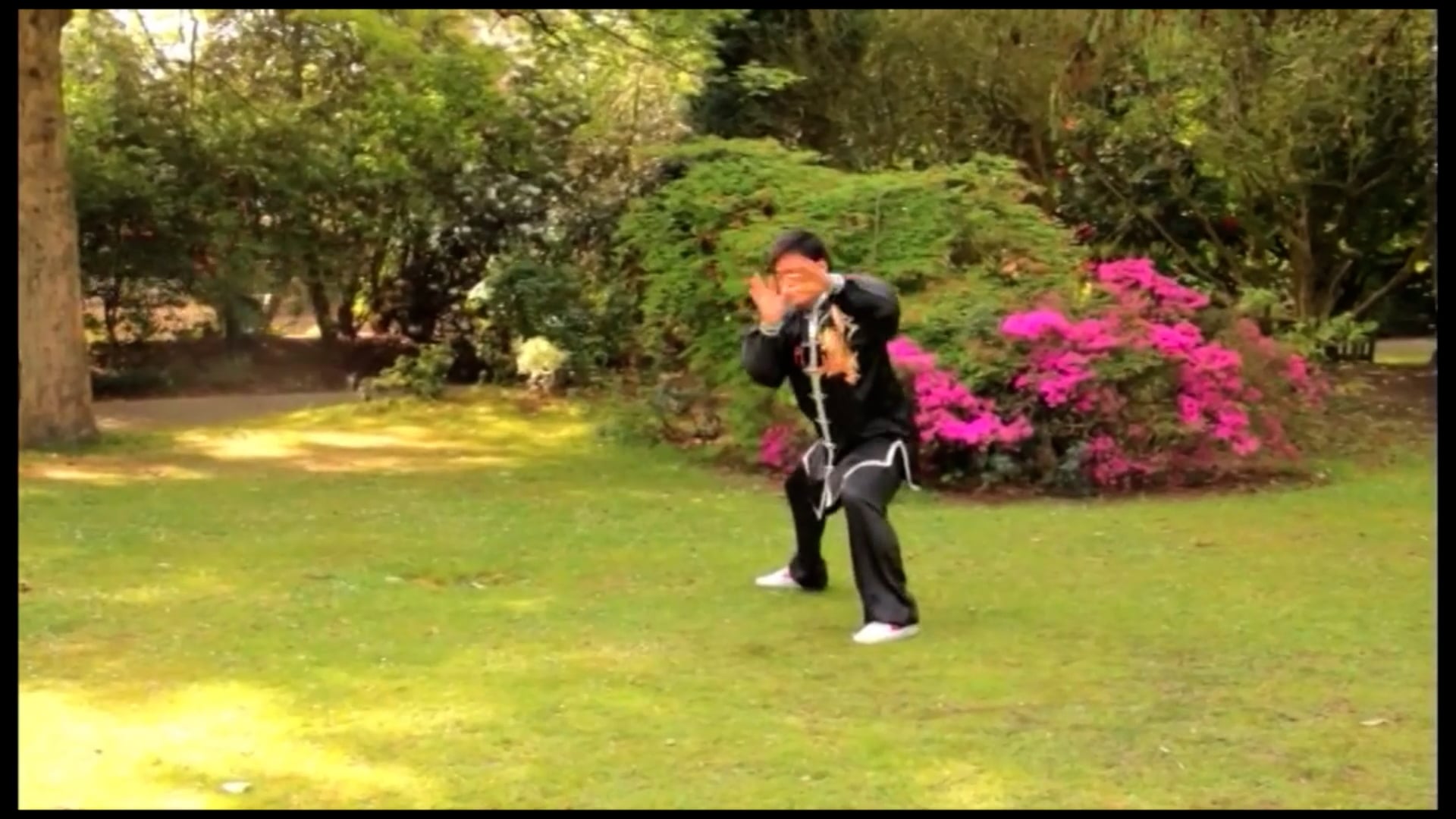 Watch Grandmaster Wang Haijun - Chen Style Tai Chi - Lao Jia Er Lu (Pao Chui / Cannon Fist ...