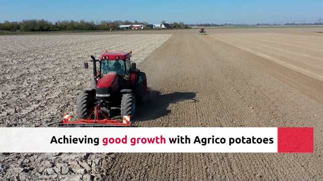 Agrico | The best guarantee for high quality and good growth