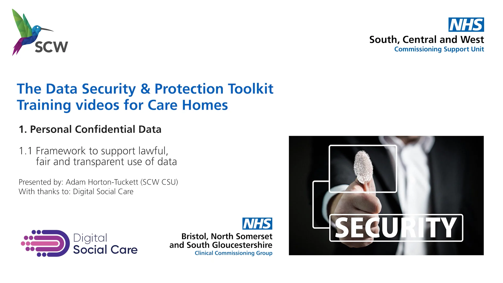 DSPT - 1.1. Framework