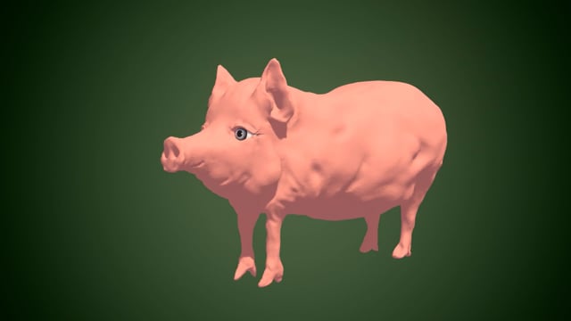50+ Free 3D Animal & 3D Videos, HD & 4K Clips - Pixabay