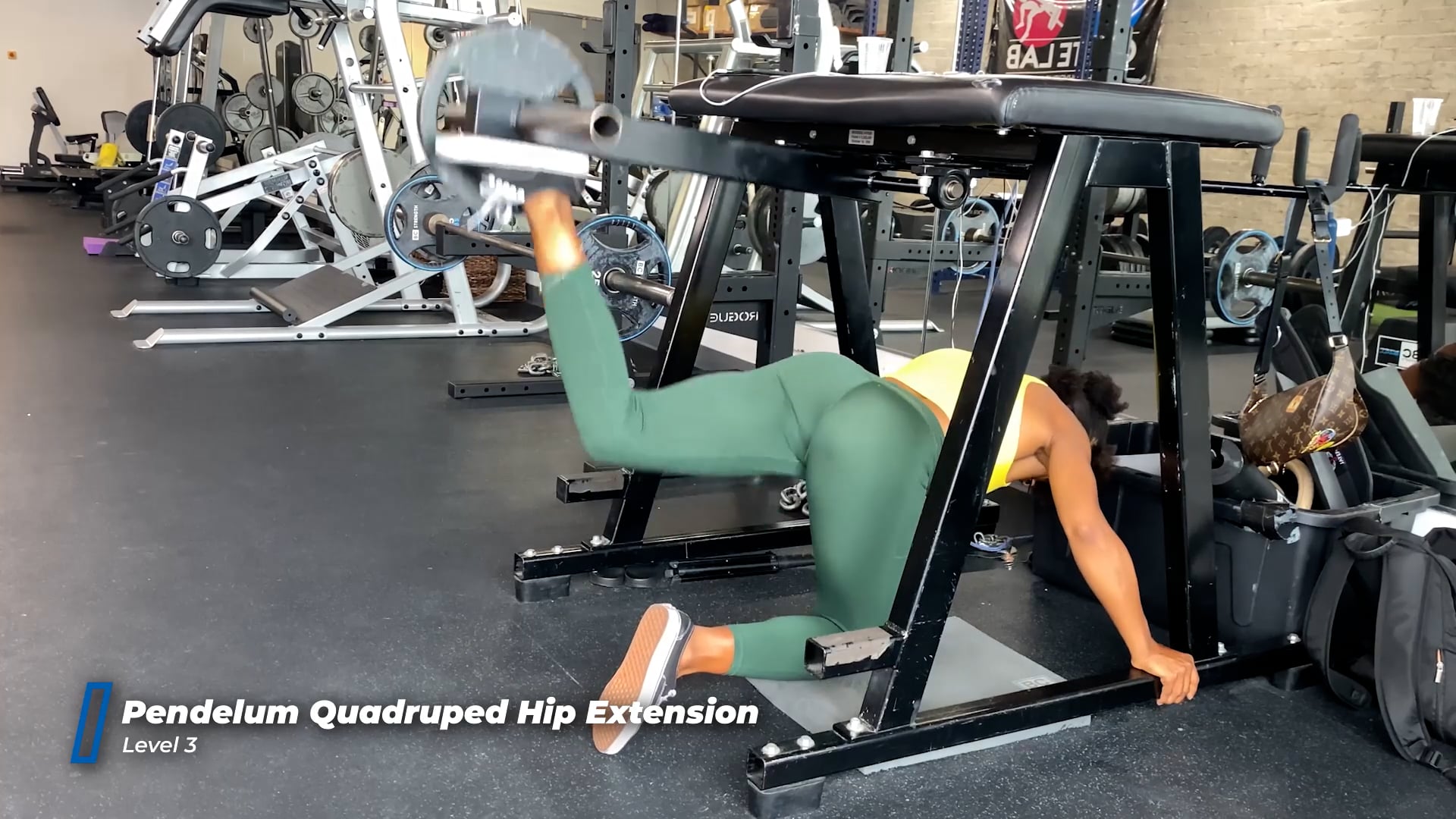 Pendelum Quadruped Hip Extension on Vimeo