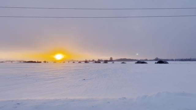 Winter, Snow, Wind. Free Stock Video - Pixabay