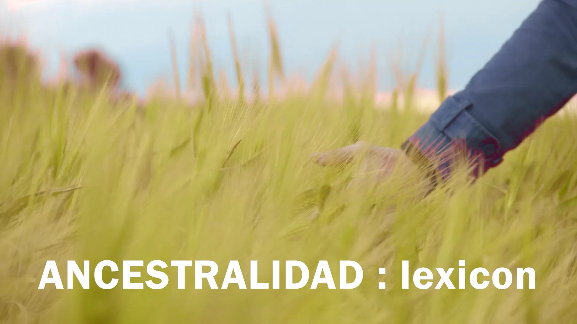Ancestralidad : lexicon on Vimeo