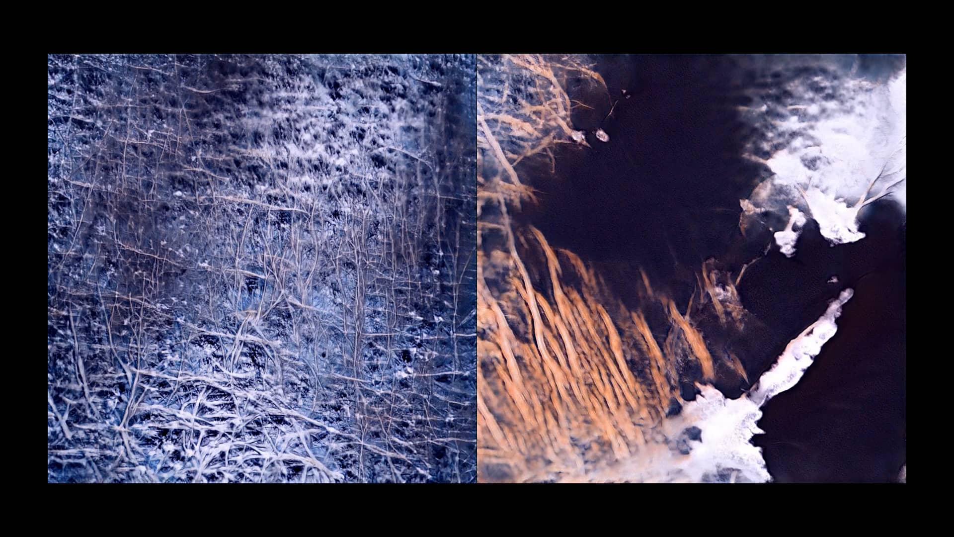 The Uncanny Forest on Vimeo