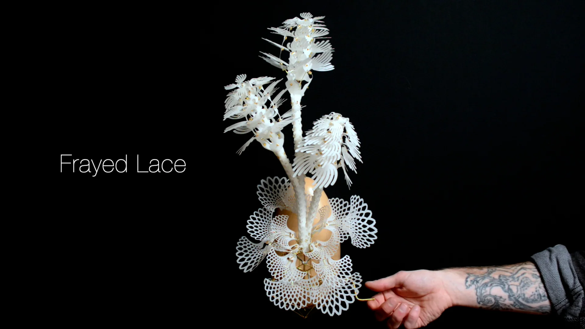Frayed Lace on Vimeo