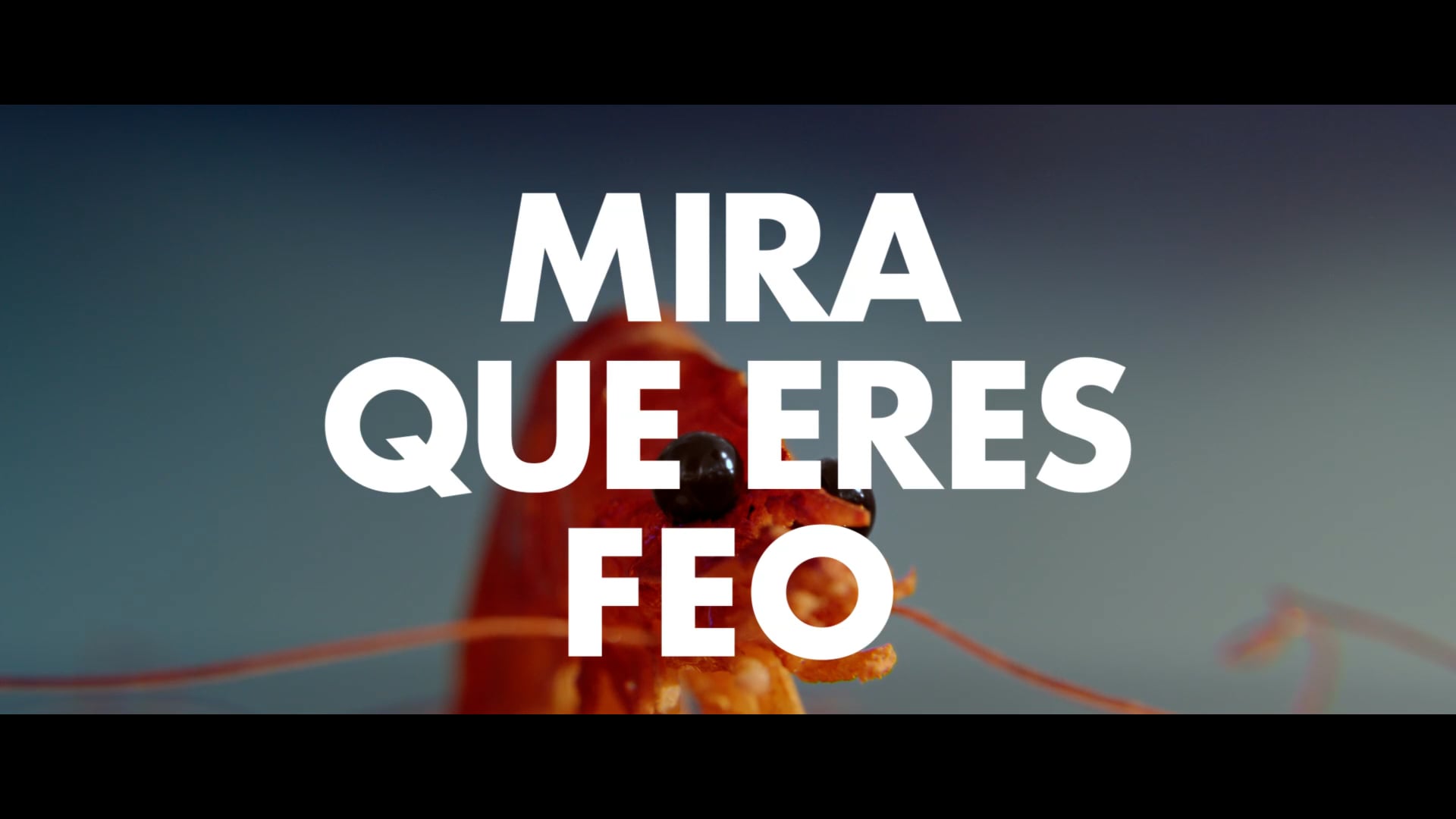 Mira que eres feo. Pescanova on Vimeo