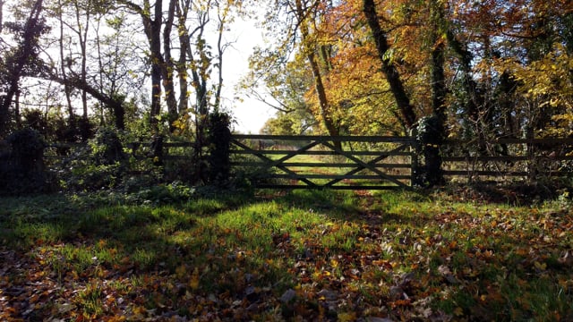 Fence Gate Path - Free video on Pixabay