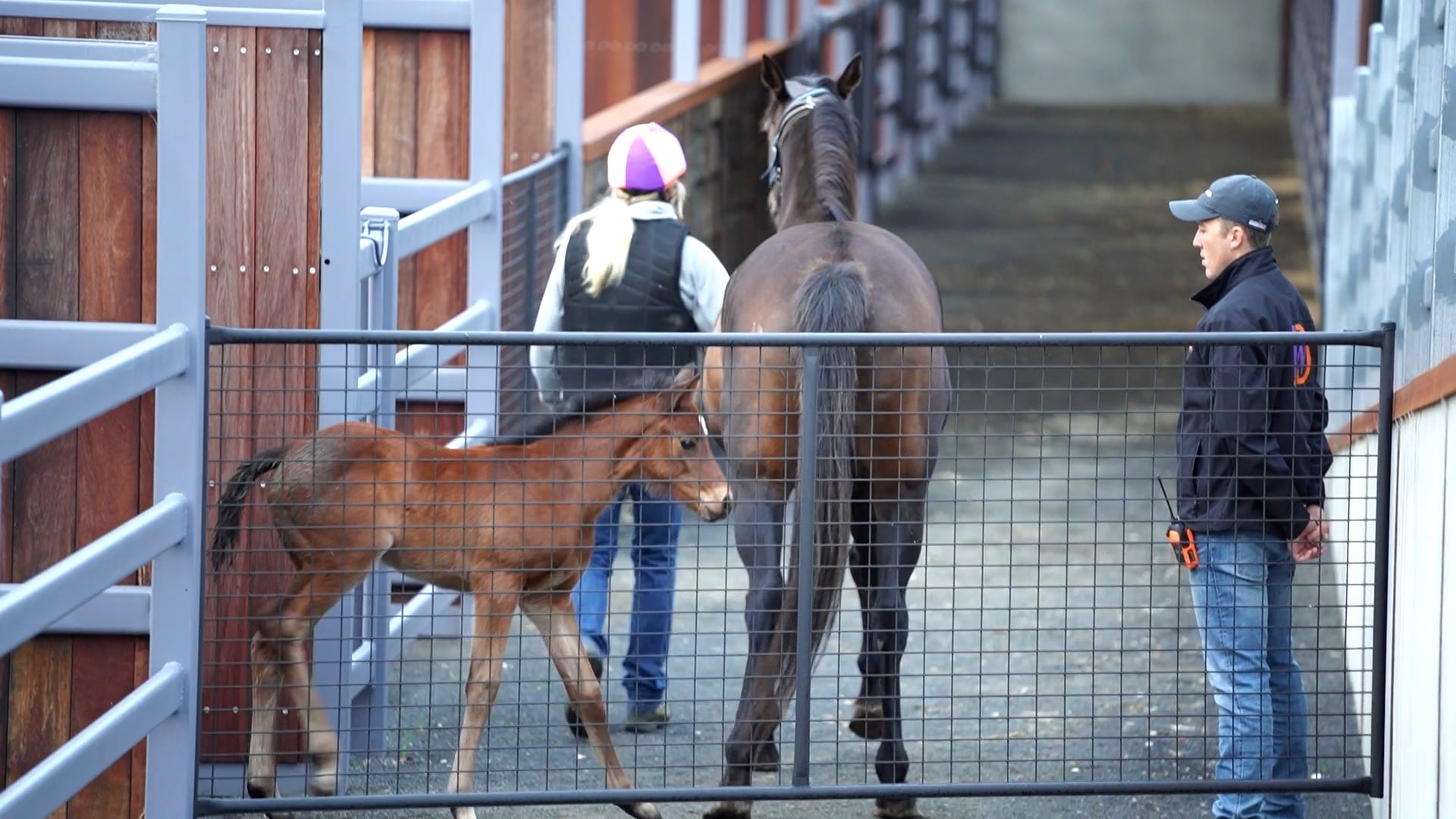 Spendthrift #StaffSundays - Grant Burrill on Vimeo