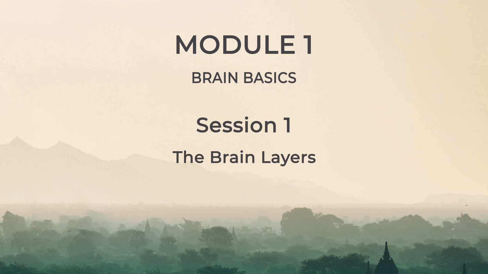Module 1: Brain Basics - learn.therapywisdom.com