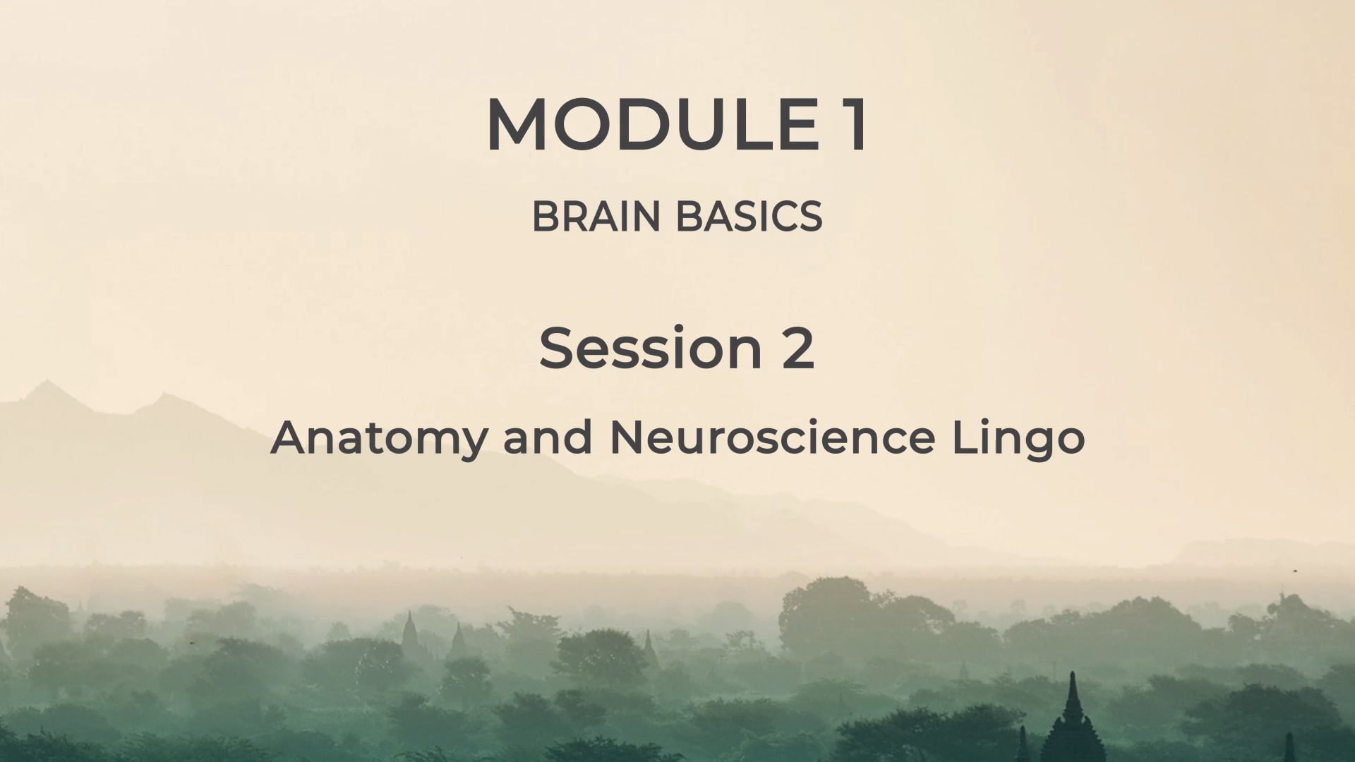 Module 1: Brain Basics - learn.therapywisdom.com