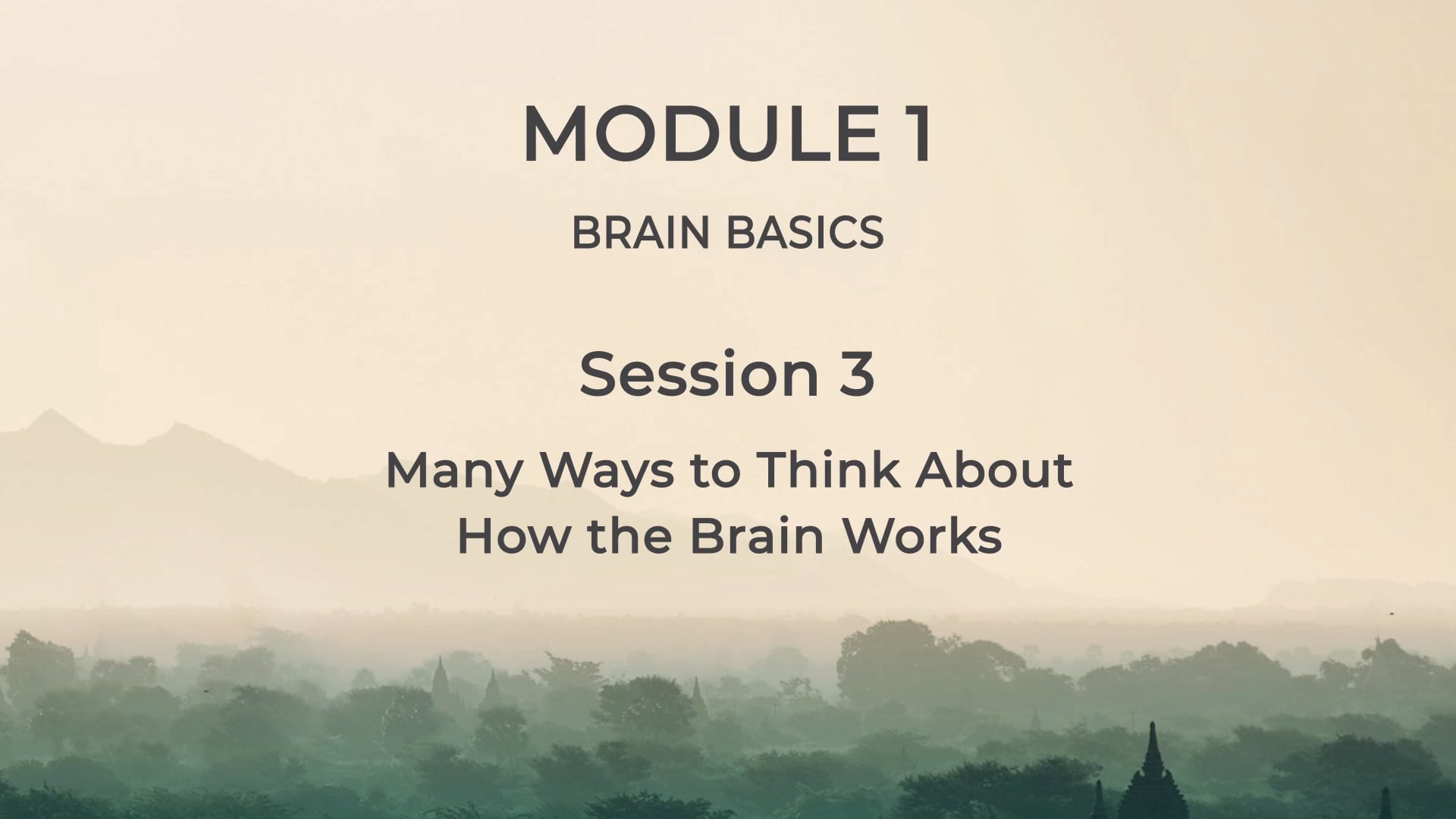Module 1: Brain Basics - learn.therapywisdom.com