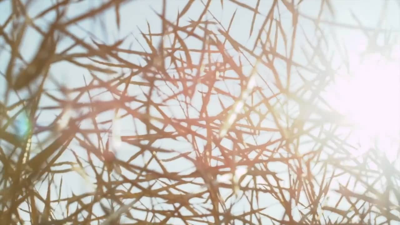 Jordan Lindgren's Testimonial-FINAL.mp4 on Vimeo