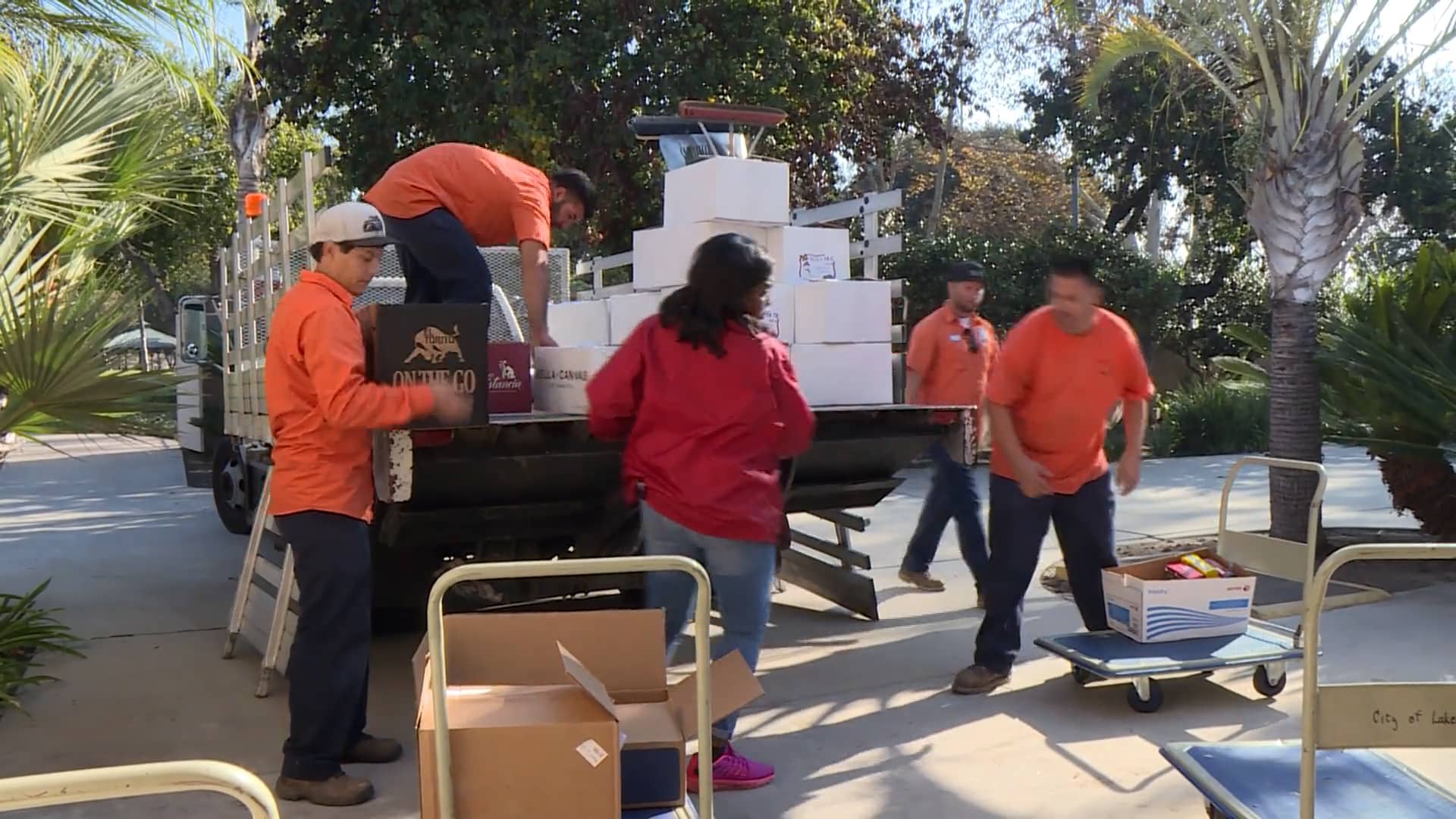 Project Shepherd 2021 on Vimeo