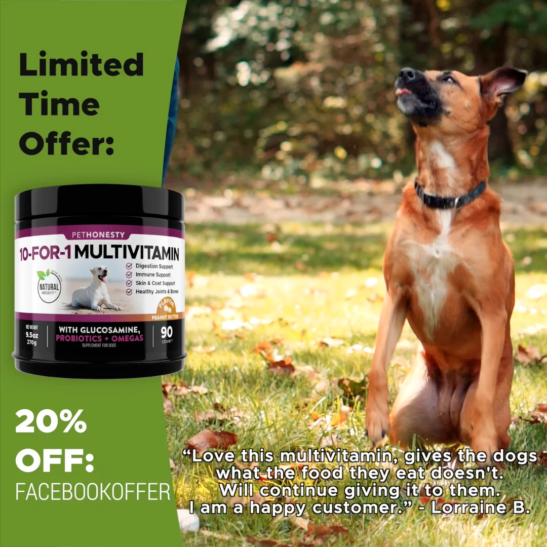 Pets - subscription on Vimeo