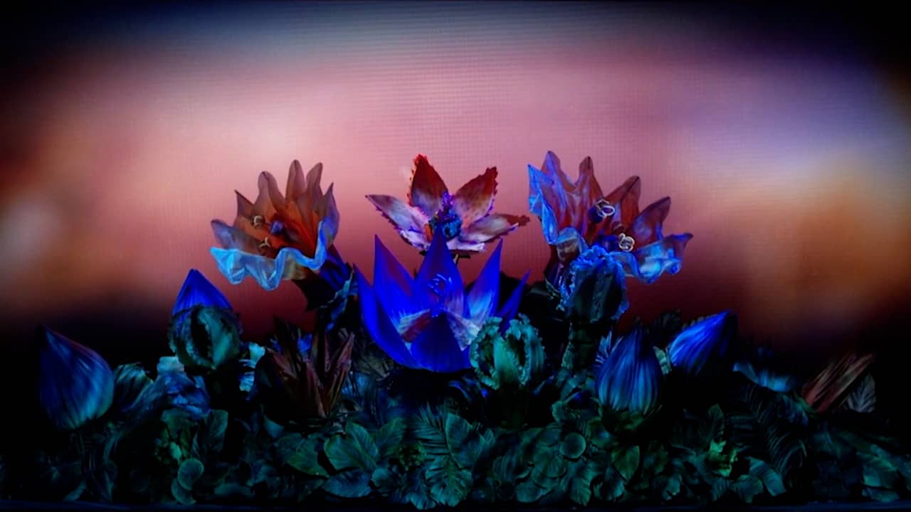 Michael Curry Productions on Vimeo