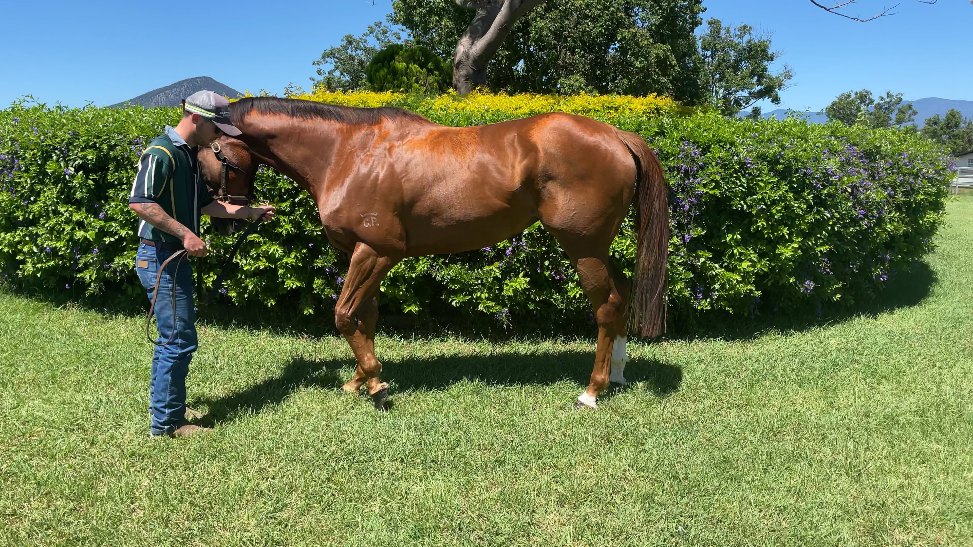 Hey Little Sister - Washpool Lodge 15Dec21 on Vimeo