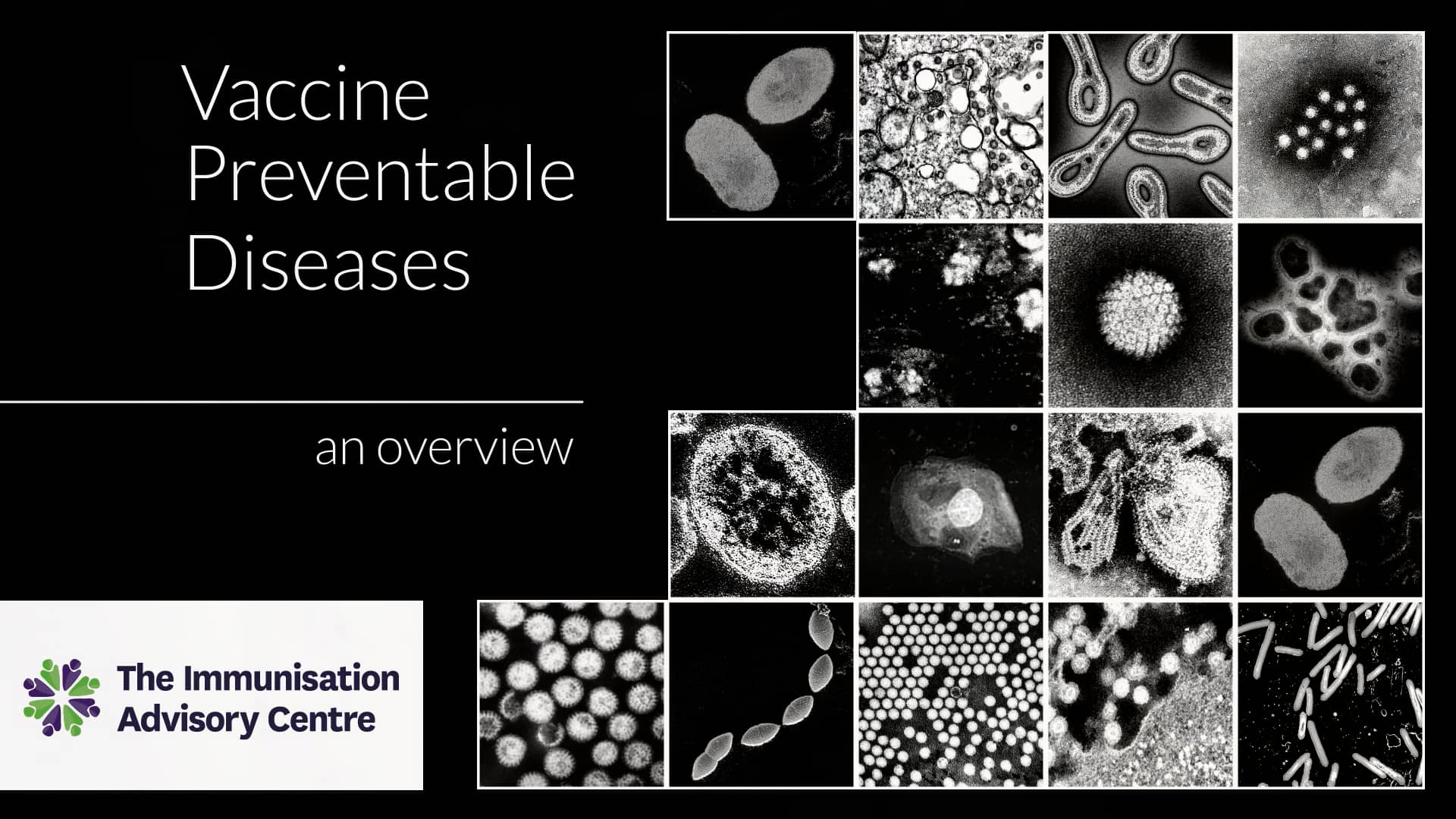 Vaccine Preventable Diseases: An overview on Vimeo