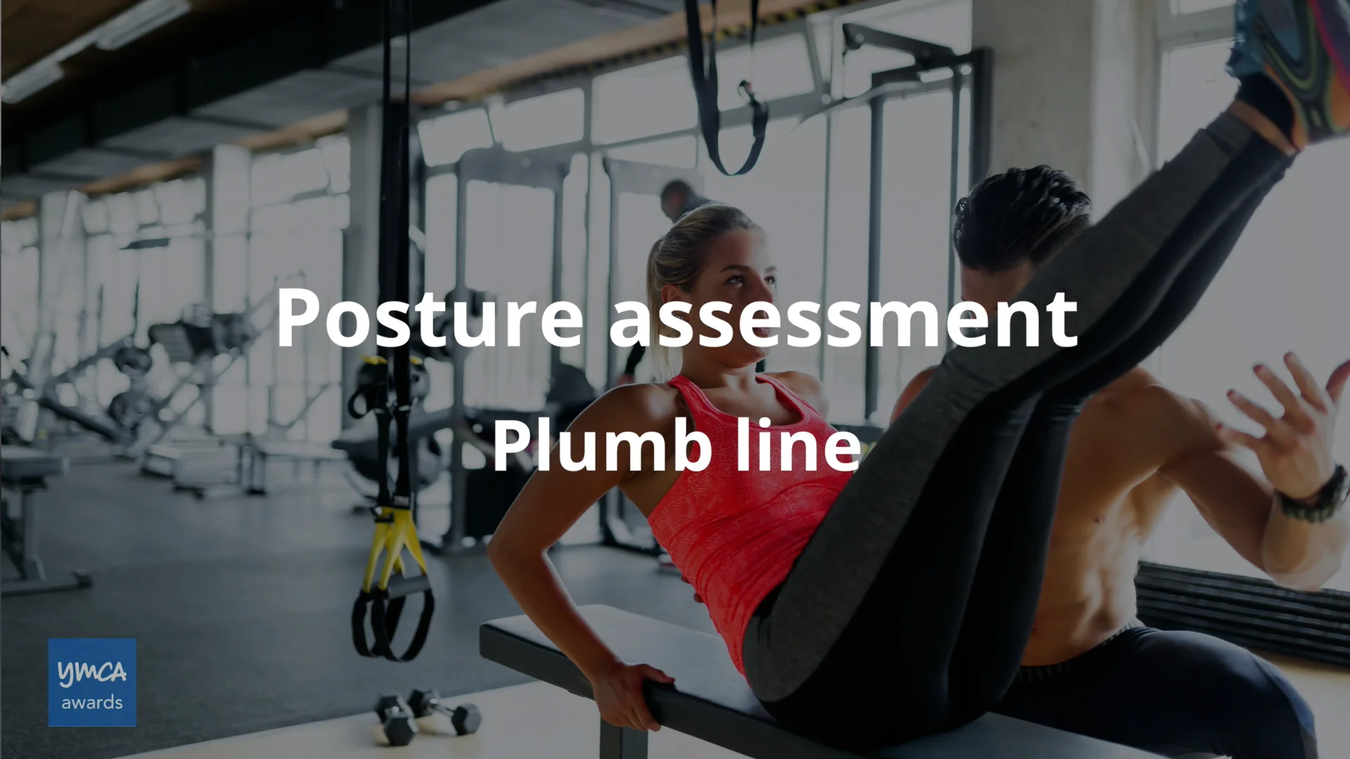 L3 - Posture assessment - Plumb line video on Vimeo
