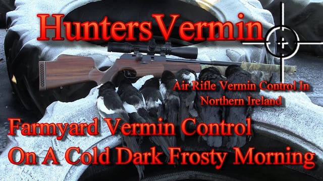 Air Rifle Hunting, Farmyard Vermin Control On A Cold Dark Frosty ...