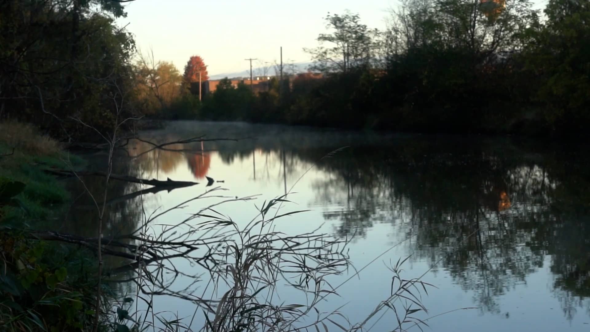 Liminal Worlds Final Cut 1 on Vimeo