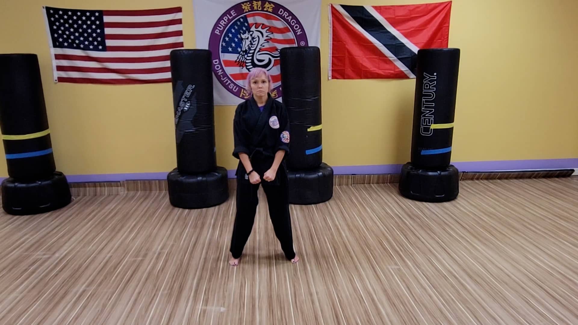 Don Jitsu Ryu Block Routine 2 on Vimeo