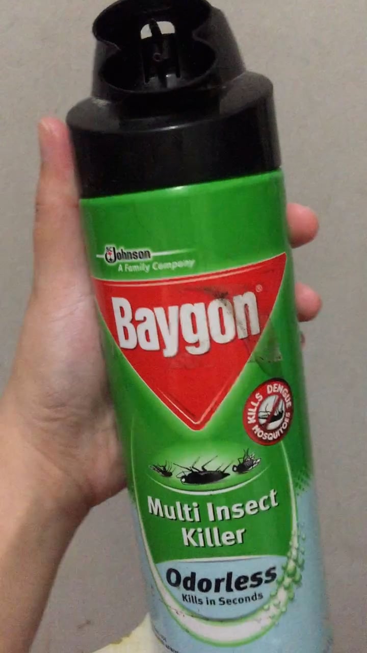 Product 17803 - Baygon Protector Multi-Insect Killer by mary-grace.cancino