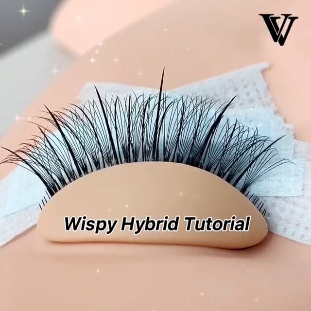 normal video(14).mp4 on Vimeo