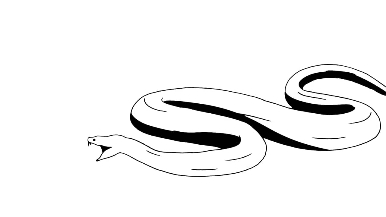 Snake Game Logo Design, Intro & Logo Animation on Vimeo