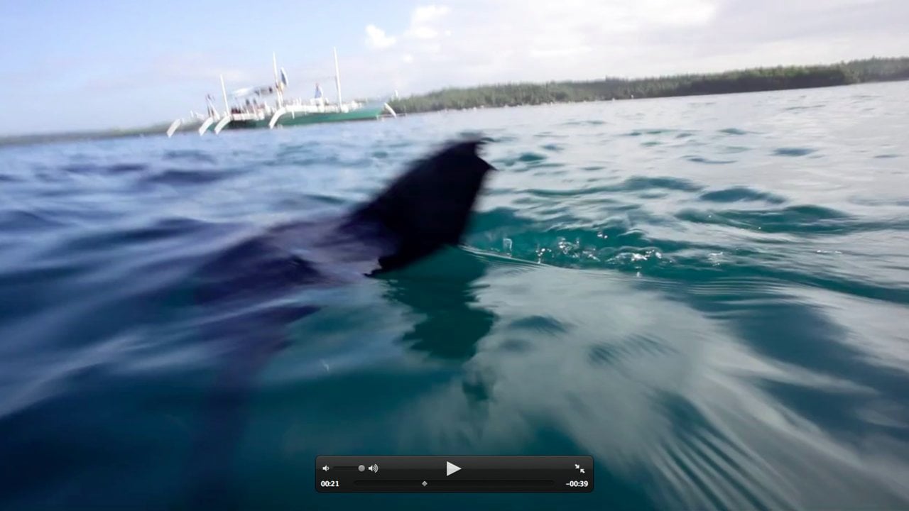 A la poursuite du requin baleine.. on Vimeo