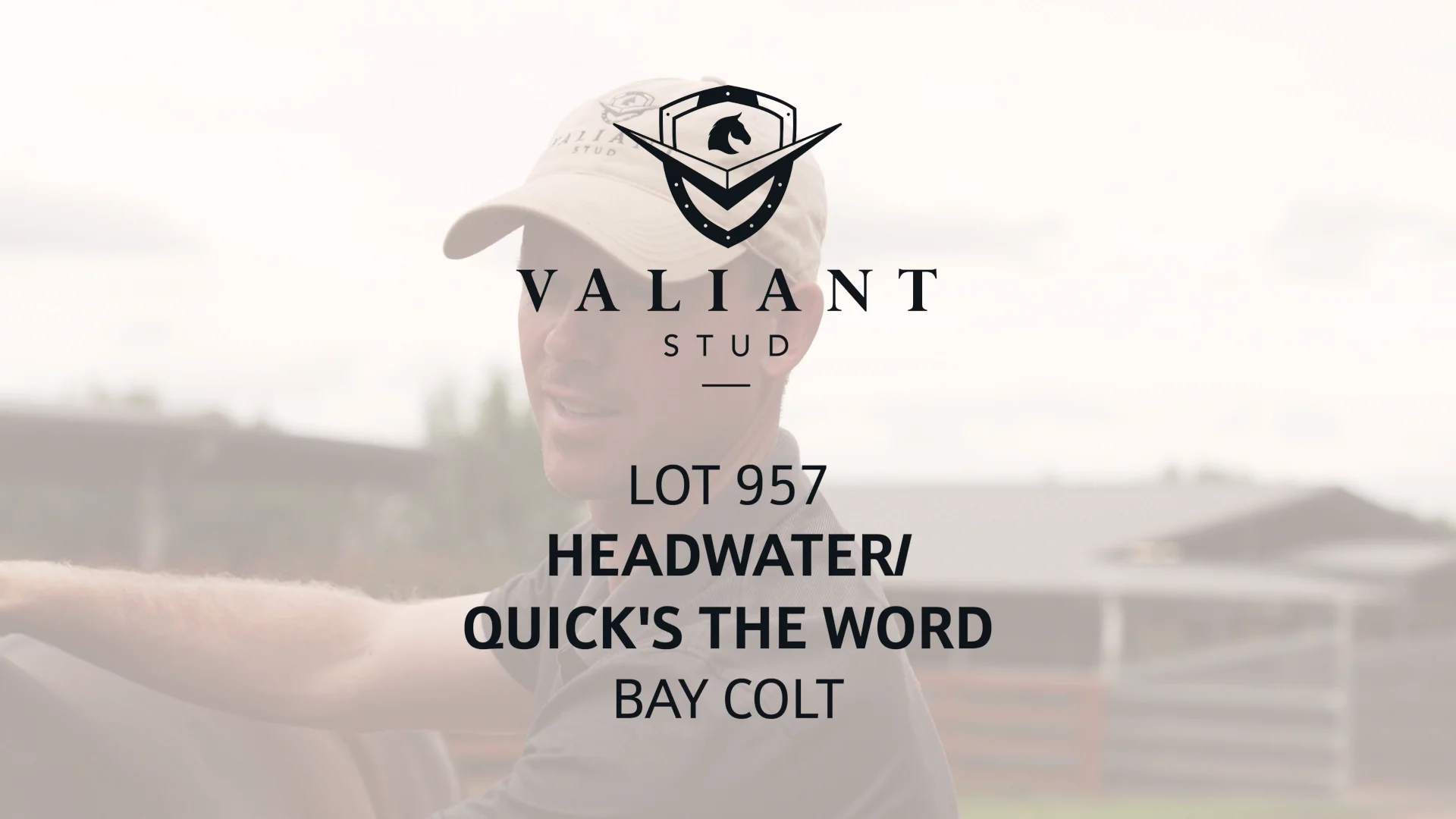 Lot 957 Headwater x Quicks the Word Colt.mp4 on Vimeo