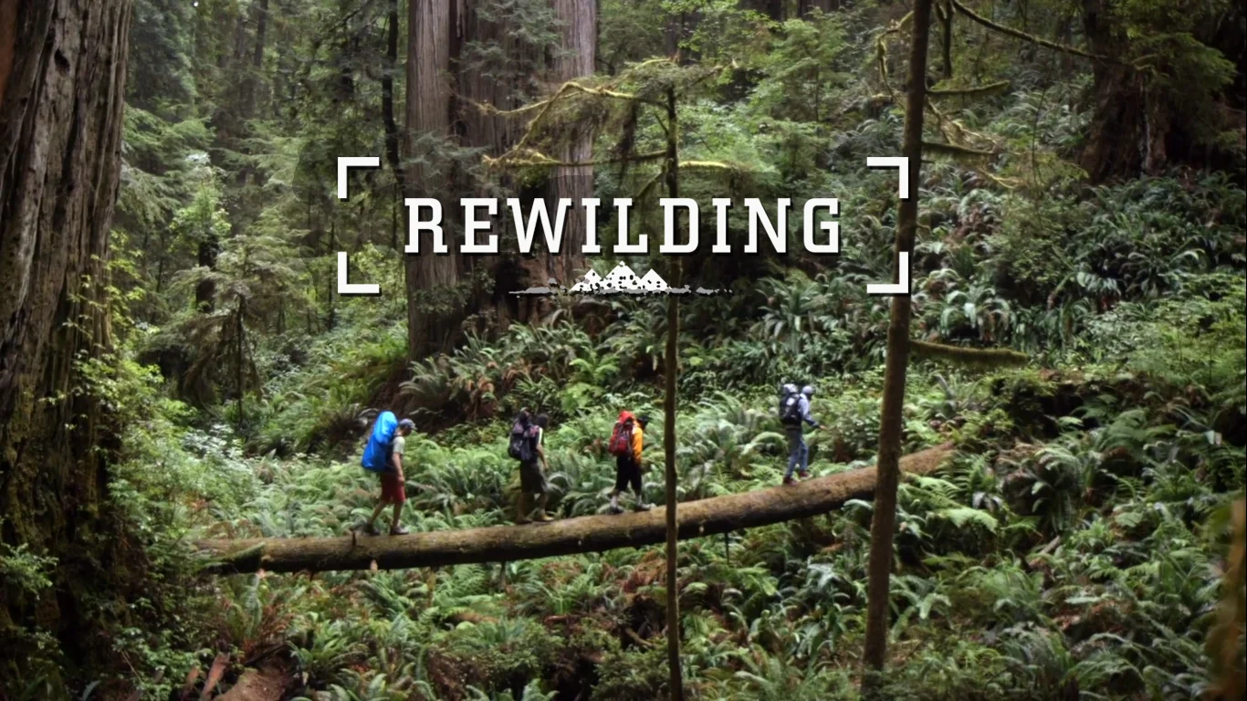 Rewilding - Official Trailer on Vimeo