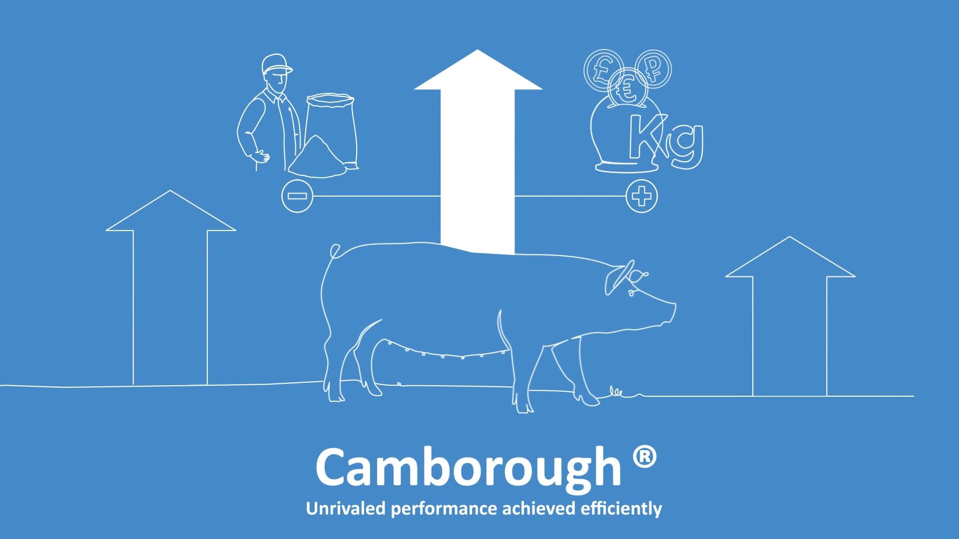 PIC Camborough: Unrivaled Performance - Achieved Effieciently on Vimeo