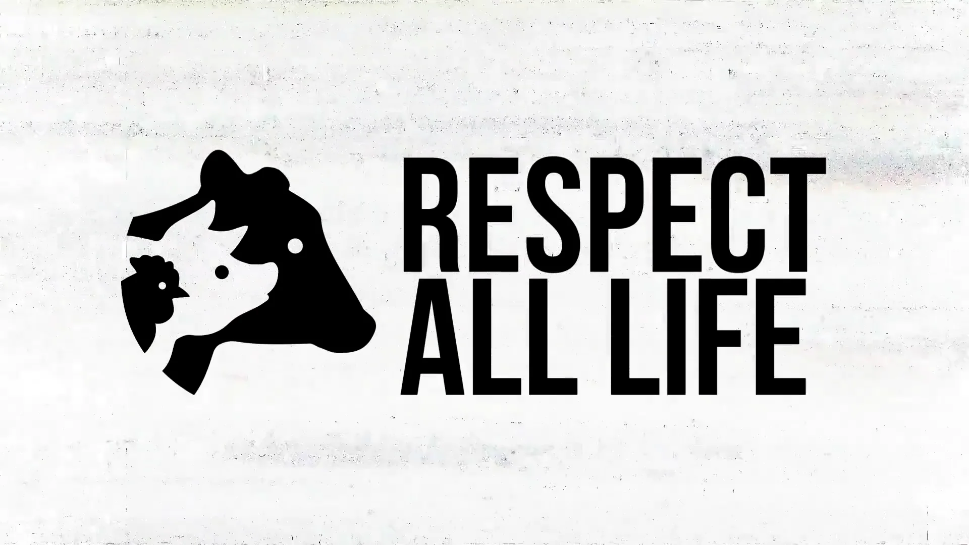 Respect All Life - Birds on Vimeo