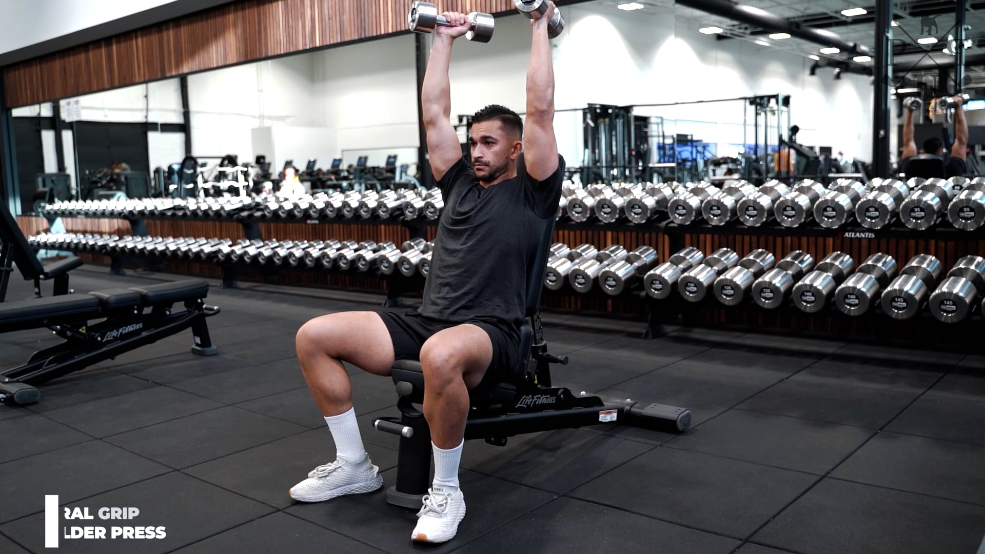SHOULDERS DUMBBELL SEATED NEUTRAL GRIP SHOULDER PRESS on Vimeo