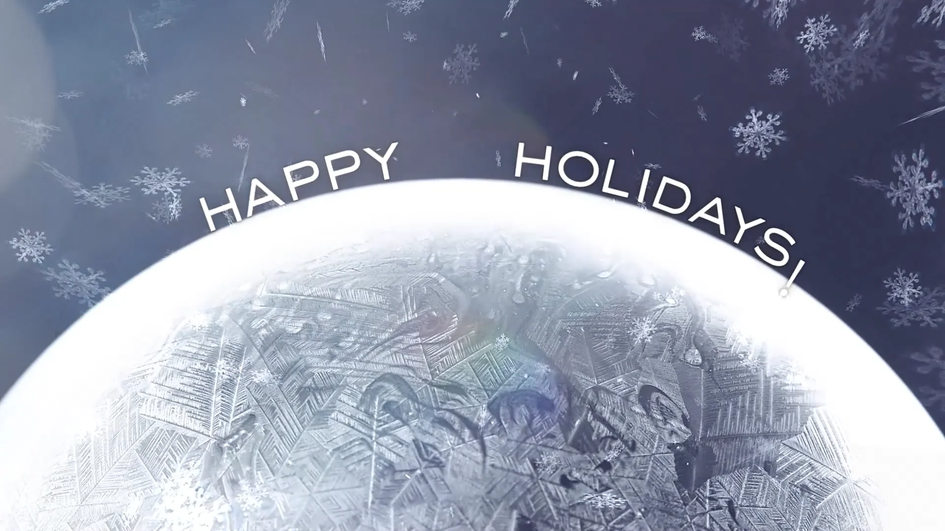 Fischer Travel Holiday 2021C on Vimeo