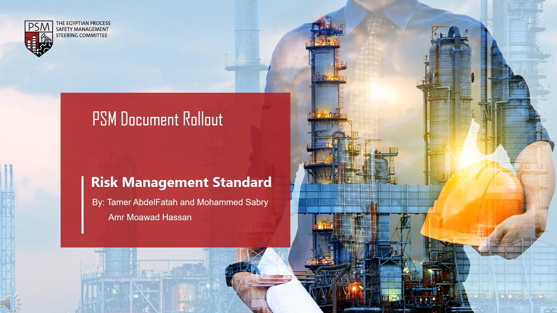 Risk Management Standard