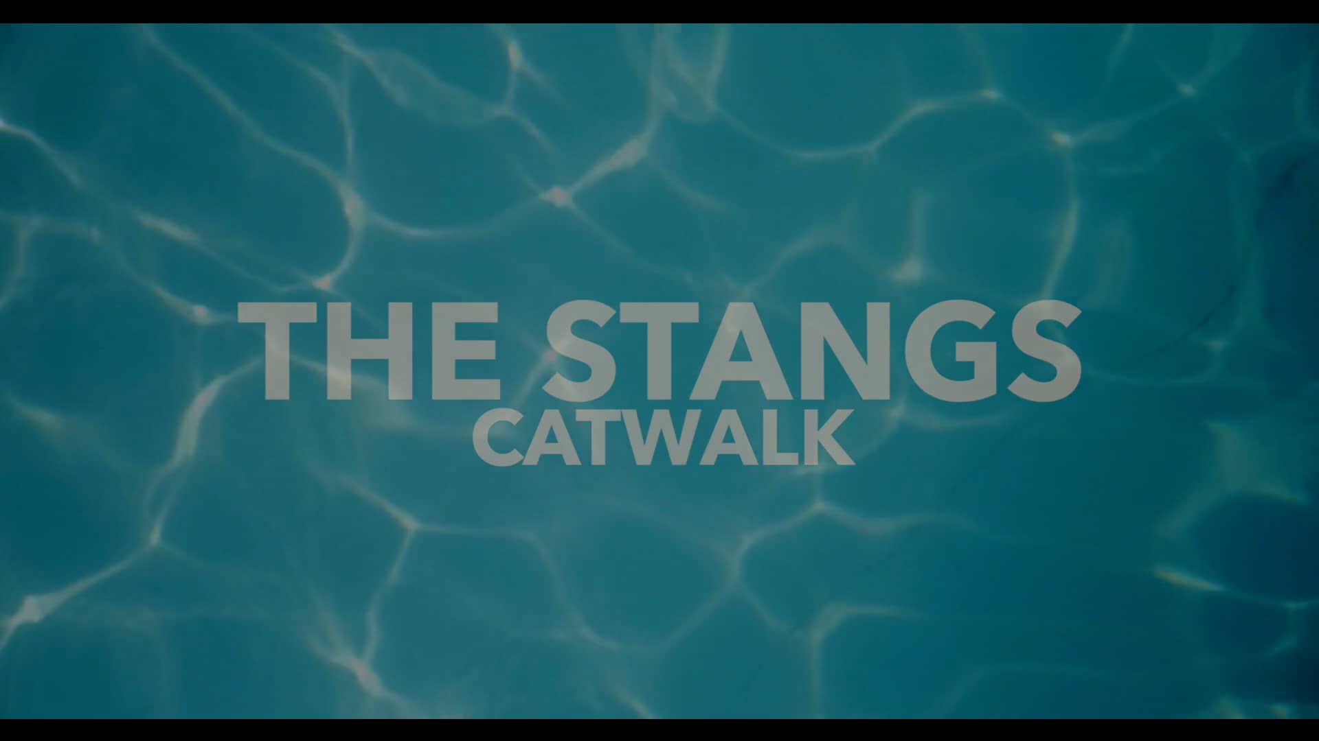 THE STANGS // CATWALK on Vimeo