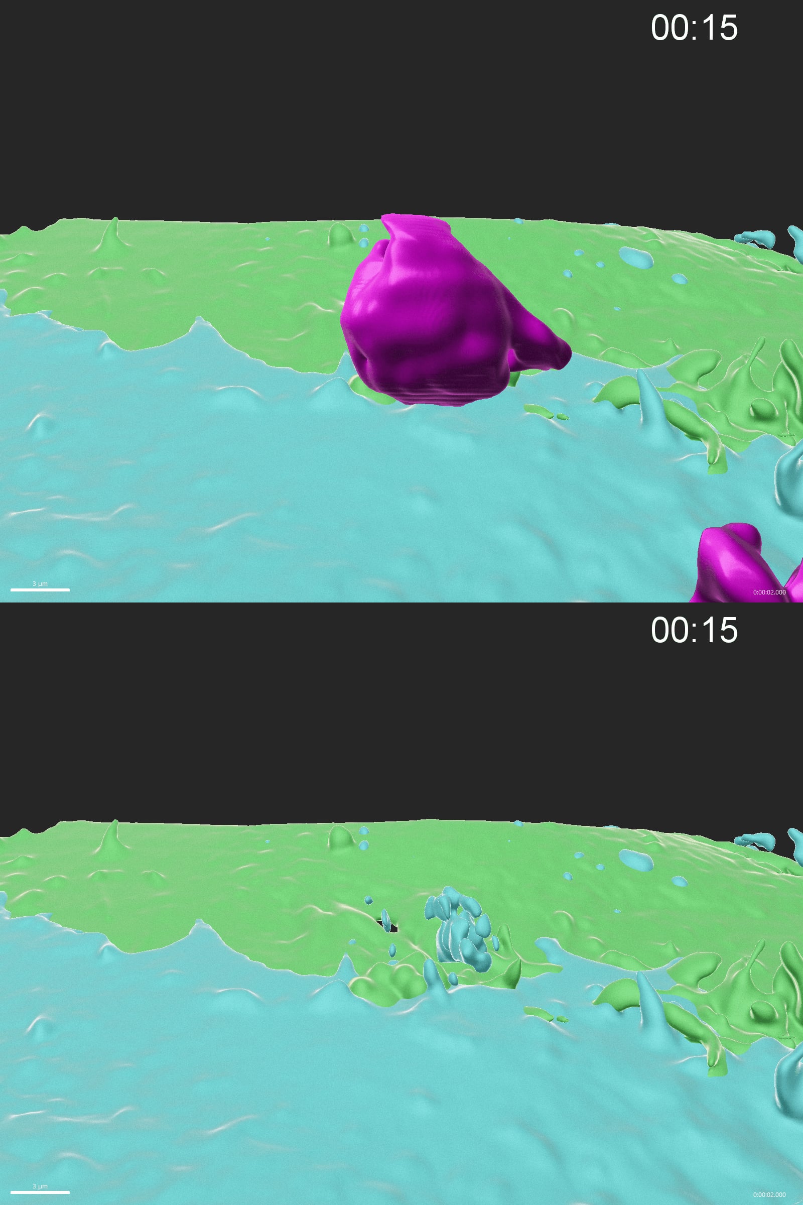 TEM_Event_11_12 on Vimeo