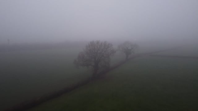 Foggy, Haze, Field. Free Stock Video - Pixabay