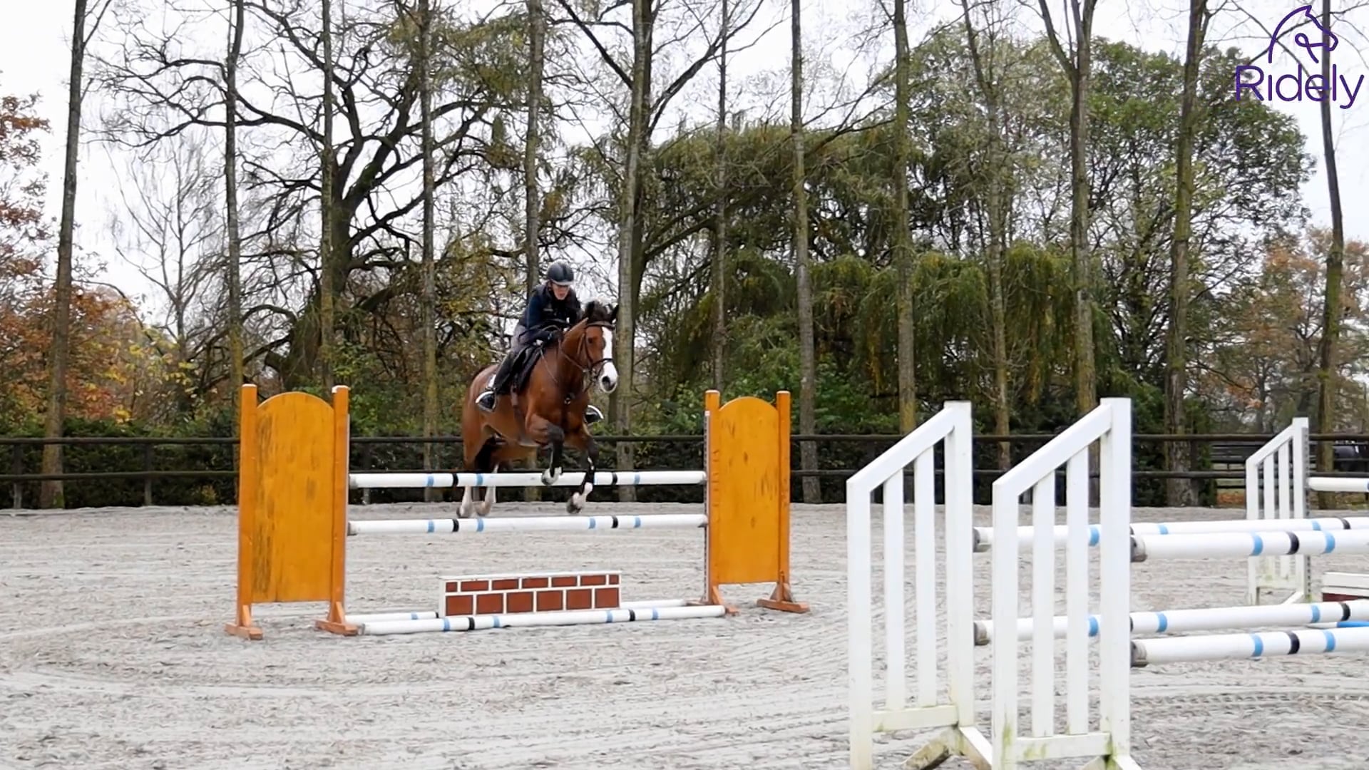 Jumping Combinations | Ridely