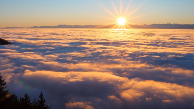 40+ Free Sea Of Fog & Fog Videos, HD & 4K Clips - Pixabay
