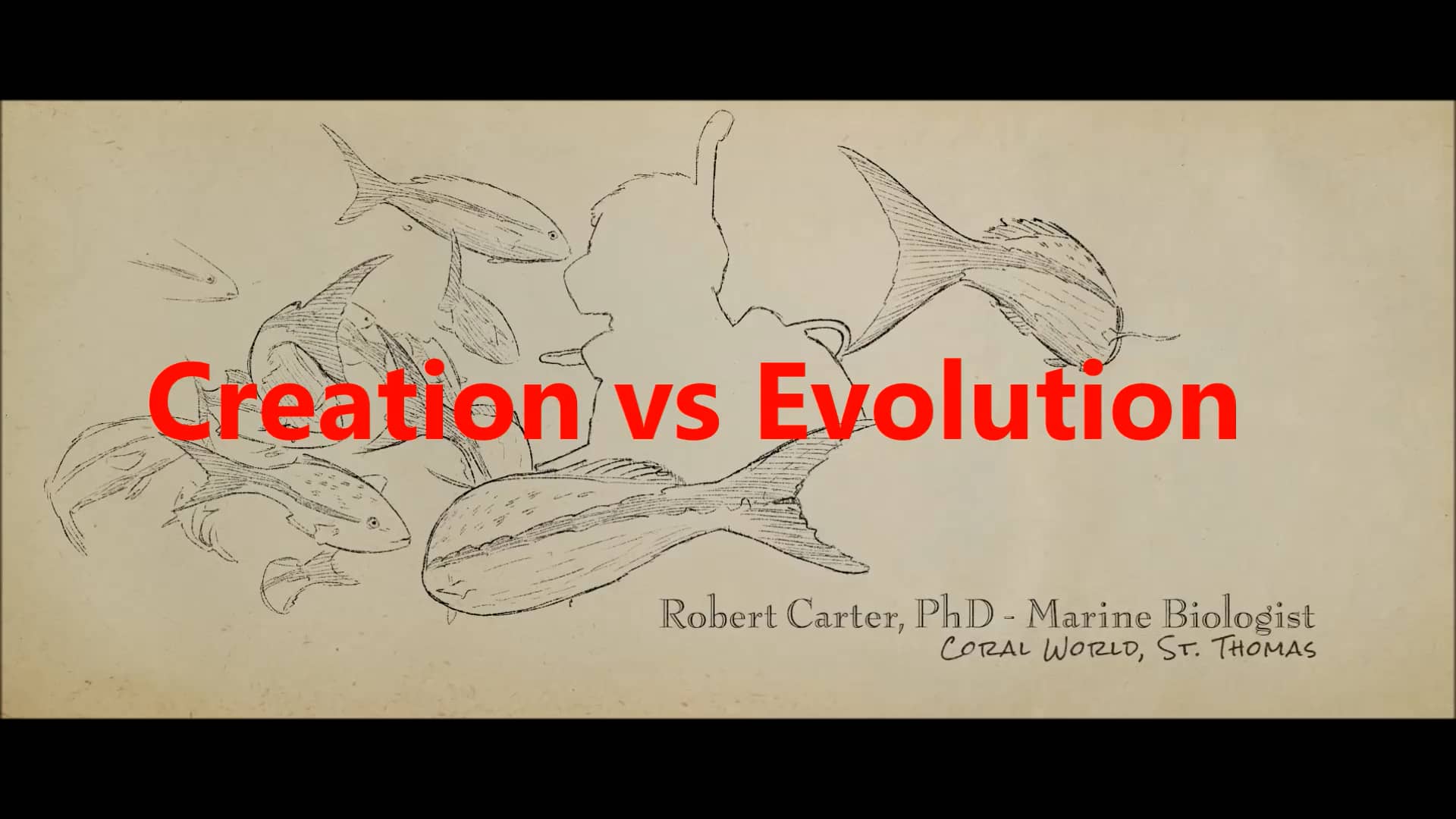 Creation vs Evolution on Vimeo