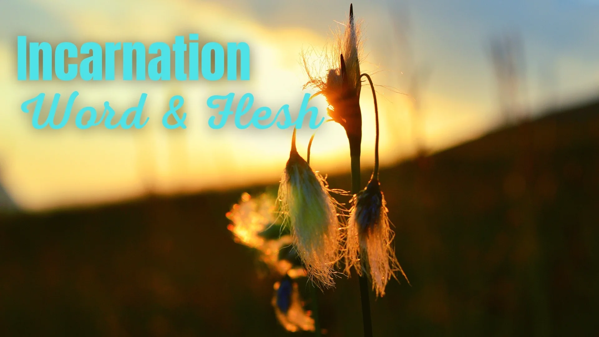 Incarnation: Word & Flesh on Vimeo