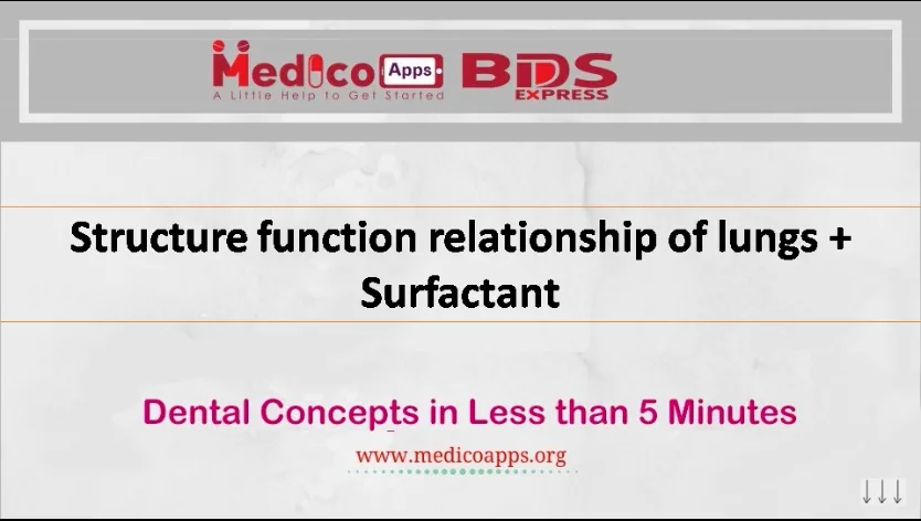 Structure function relationship of lungs + Surfactant on Vimeo