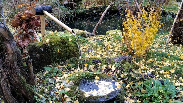 Japanese Garden Shishi-Odoshi The - Free video on Pixabay