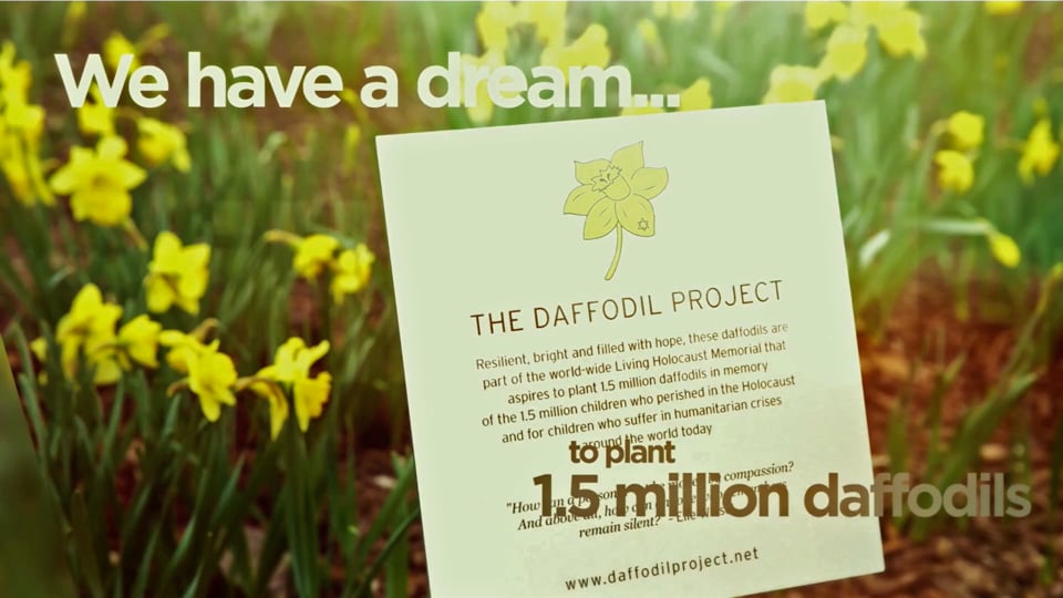 Become a Partner - The Daffodil Project