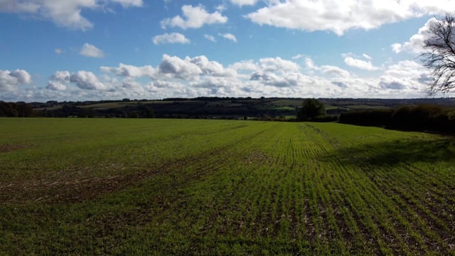 Field Farm Planted - Free video on Pixabay